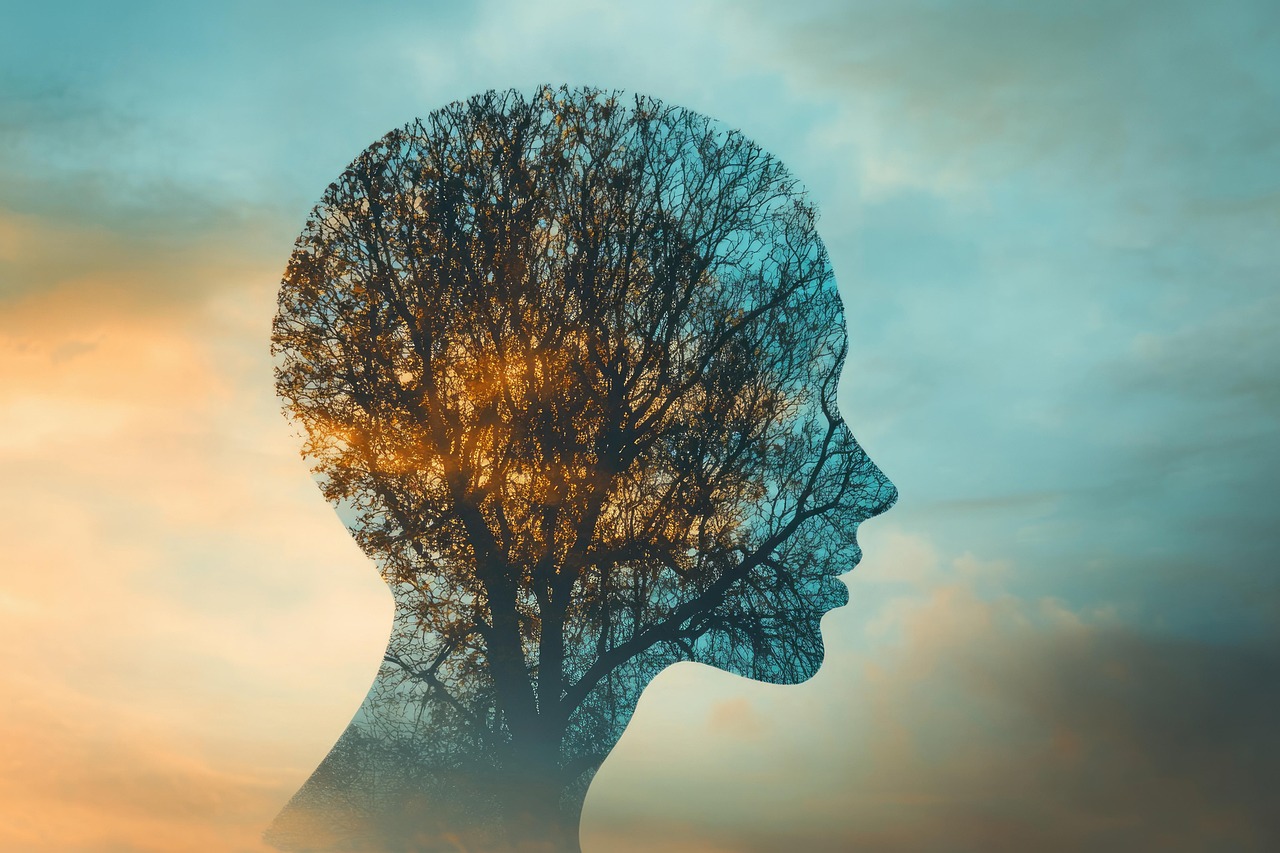5,000+ Free Mindful & Mind Images - Pixabay