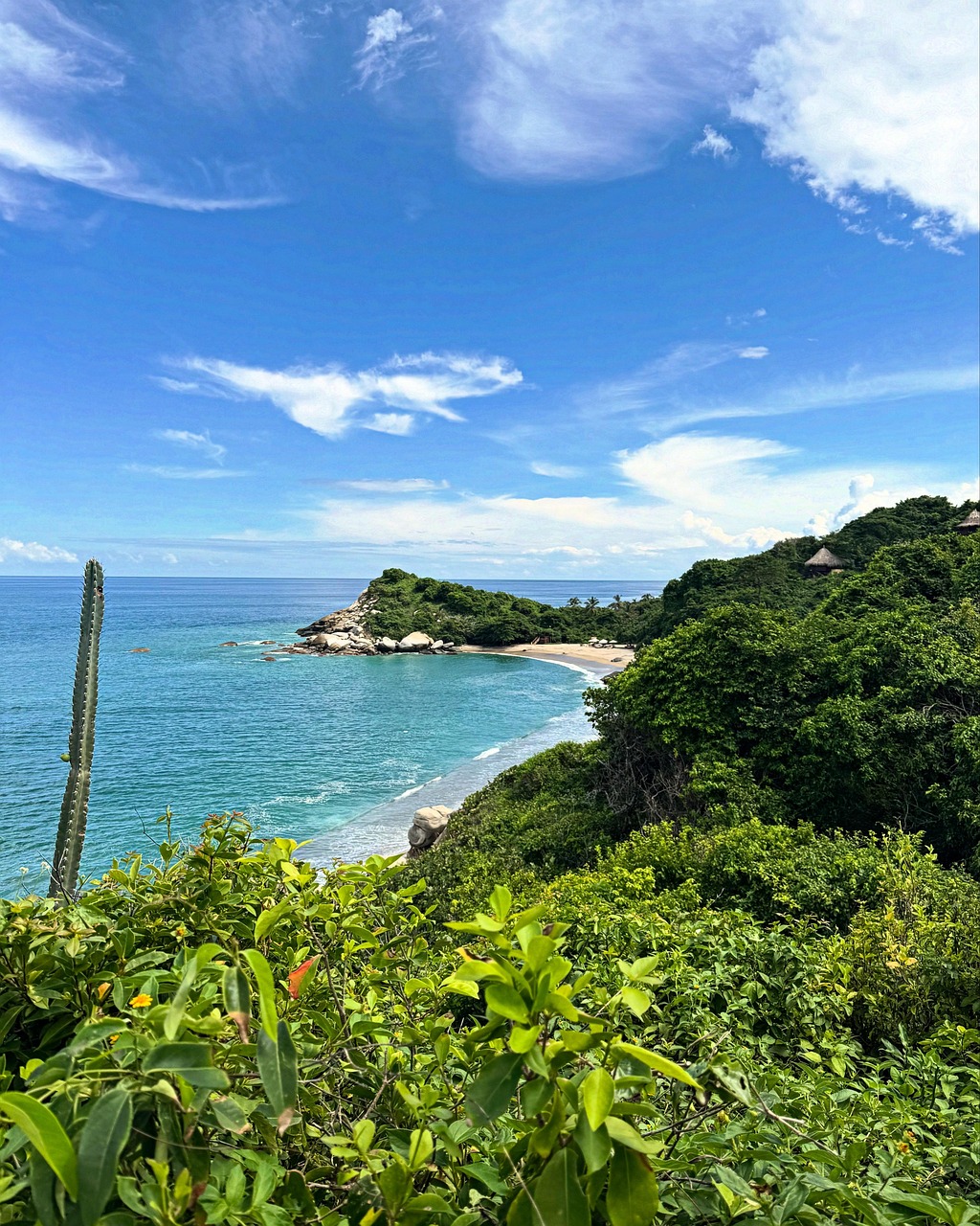 Spiaggia Natura Caraibico - Foto gratis su Pixabay