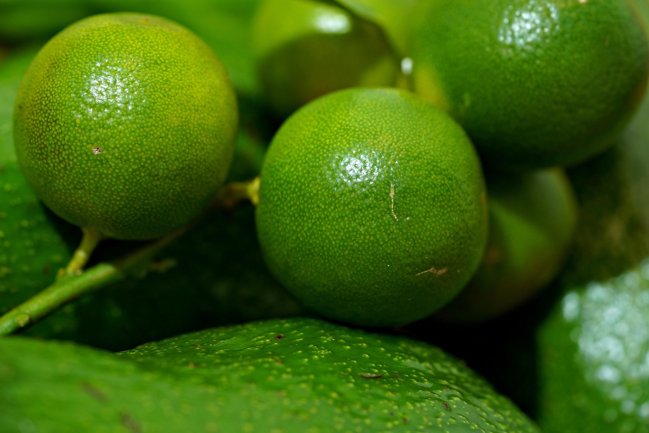Tangerine Fruit Healthy - Free photo on Pixabay