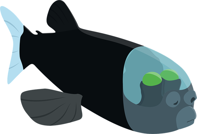 Download Barreleye, Fish, Animal. Royalty-Free Vector Graphic - Pixabay