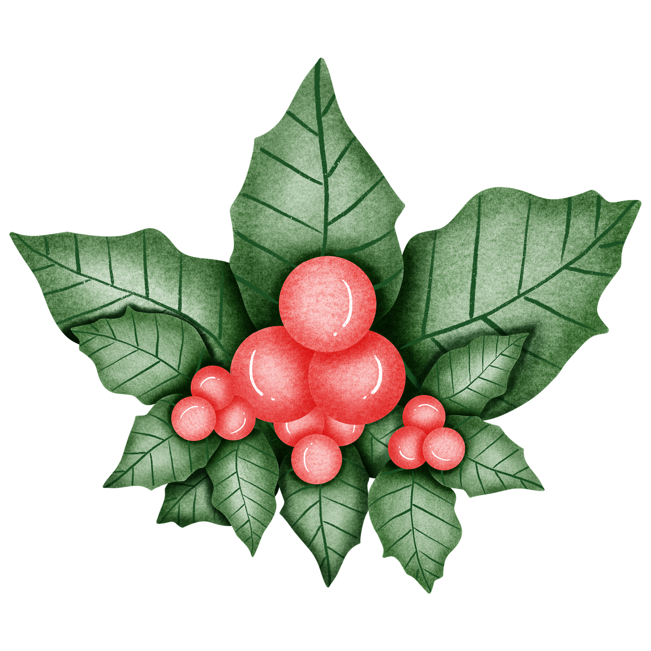 Hulst Png Aquarel Hulstbes Clipart. Hulstbessen Plant PNG. Kerst Hulst