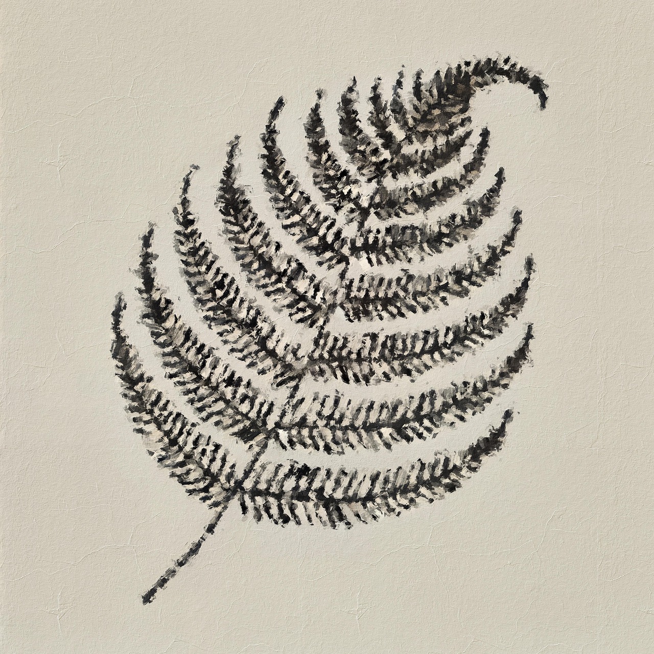 Fern Leaf Botanical Art - Free photo on Pixabay
