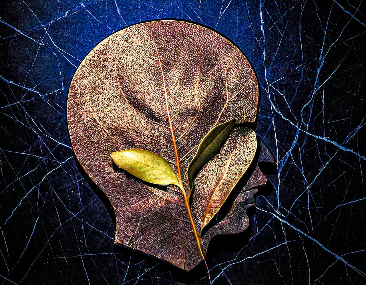 Rostro Fantasia Creatividad - Imagen gratis en Pixabay