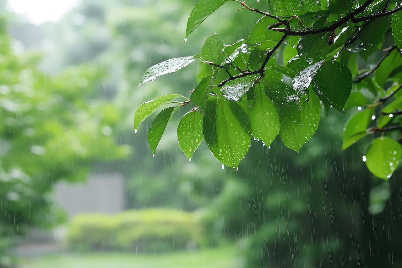 Download Rain, Leaves, Nature Rain. Royalty-Free Stock Illustration ...