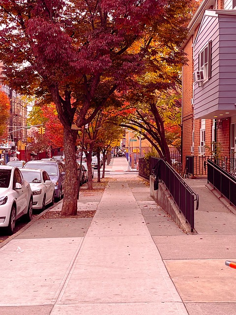 Street Autumn Fall - Free photo on Pixabay