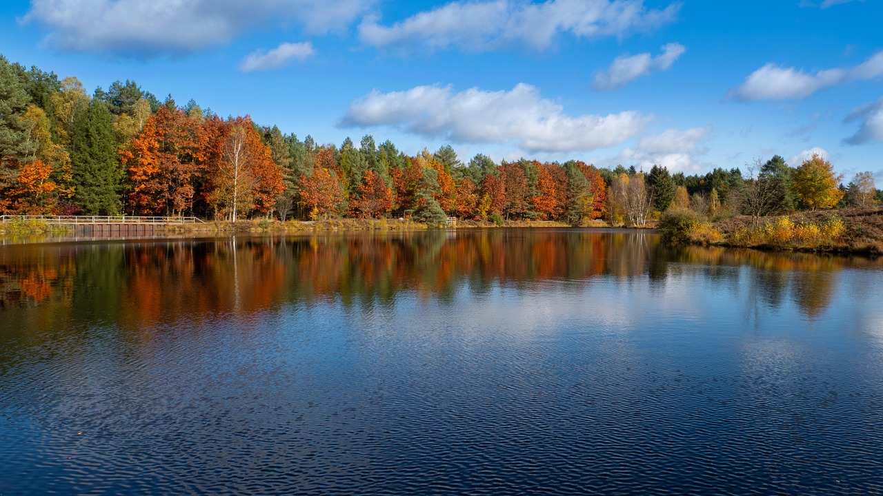 100,000 + 무료 Tulare Lake Historical Map & 자연 이미지 - Pixabay