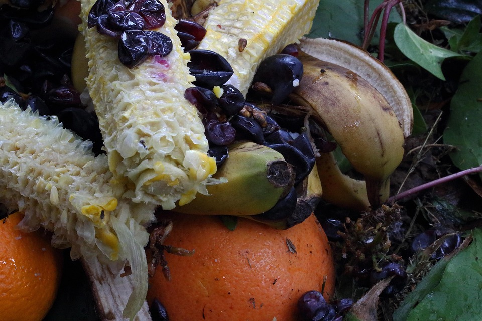 Food Scraps Kitchen Peels - Free photo on Pixabay