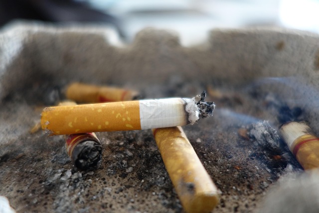 30,000+ Free Rural Cigar & Cigar Images - Pixabay