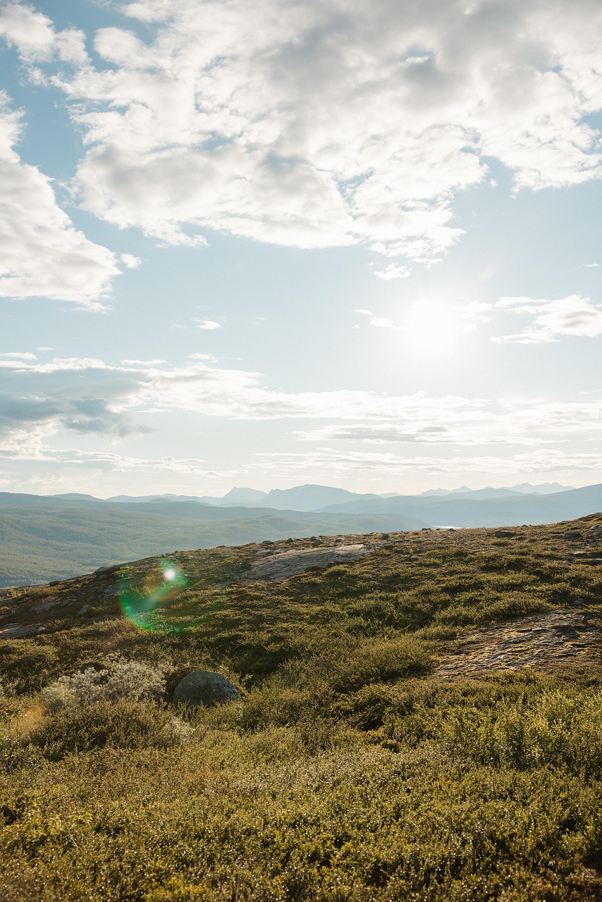 Sweden Nature Forest - Free photo on Pixabay