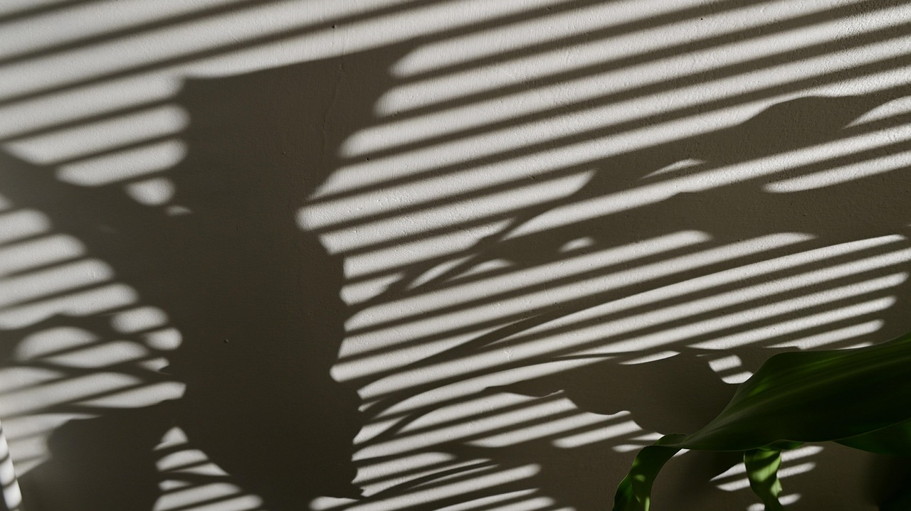 Anerkennen Schatten - Kostenloses Foto auf Pixabay