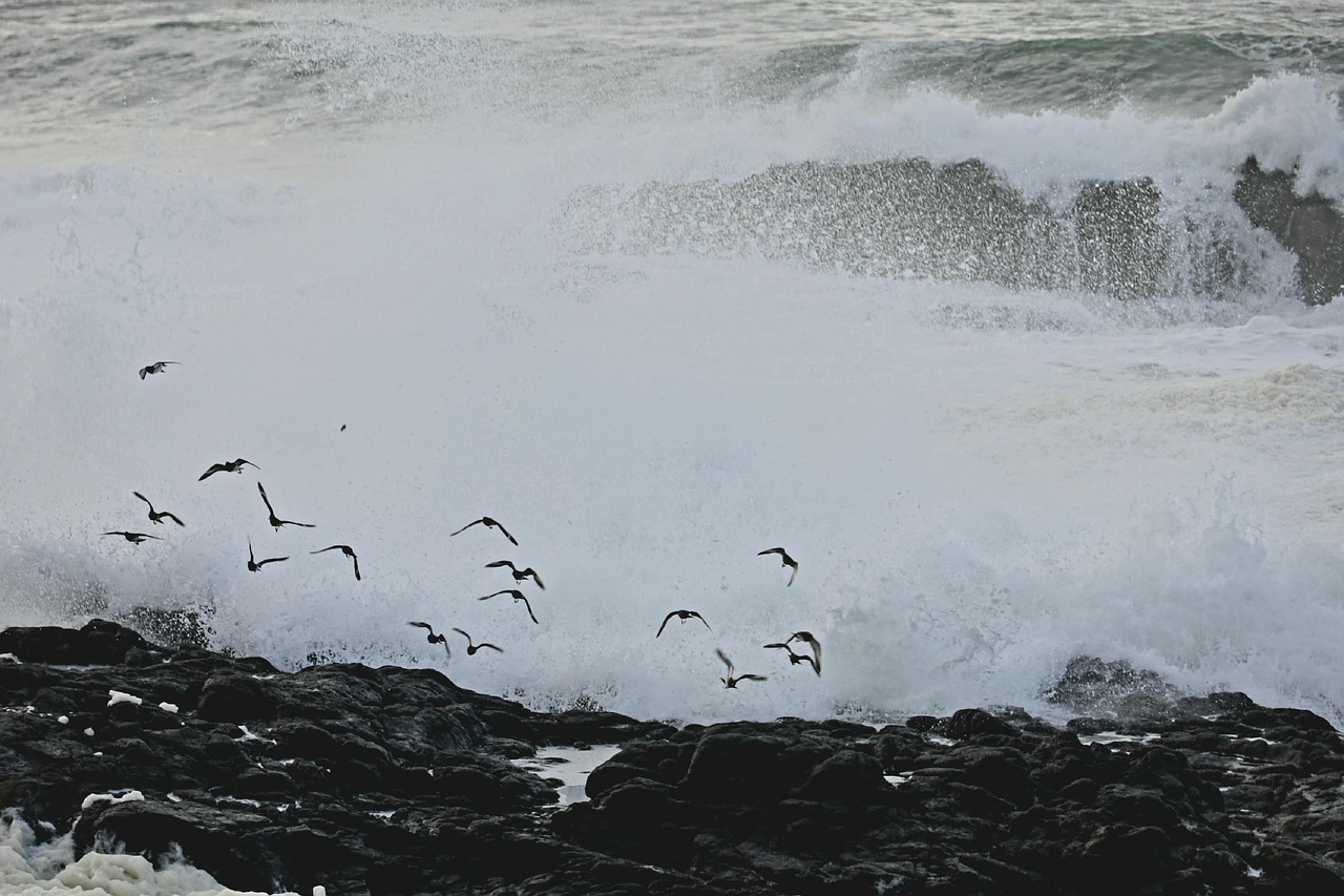 Océan Mer Nature - Photo gratuite sur Pixabay