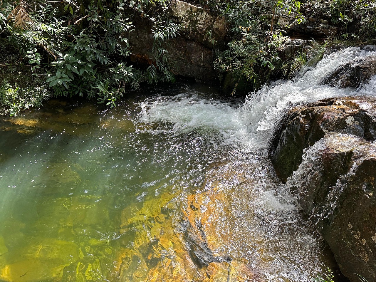 Agua Natureza Riacho - Foto gratuita no Pixabay