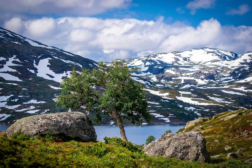 Norway Nature Landscape - Free photo on Pixabay
