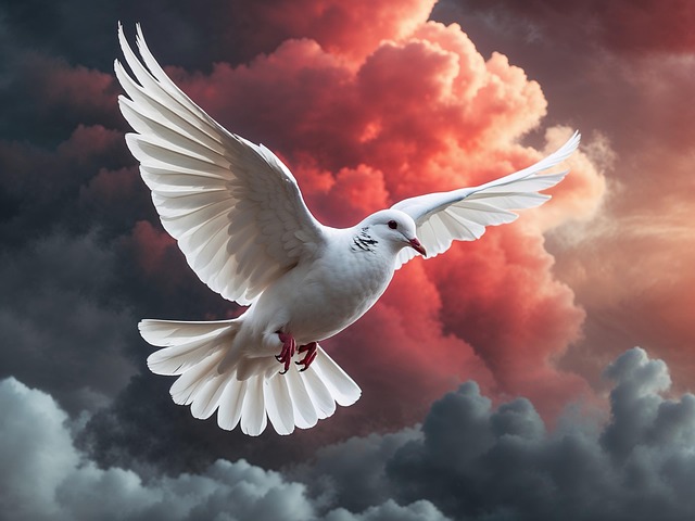 Colombe De Paix - Image gratuite sur Pixabay