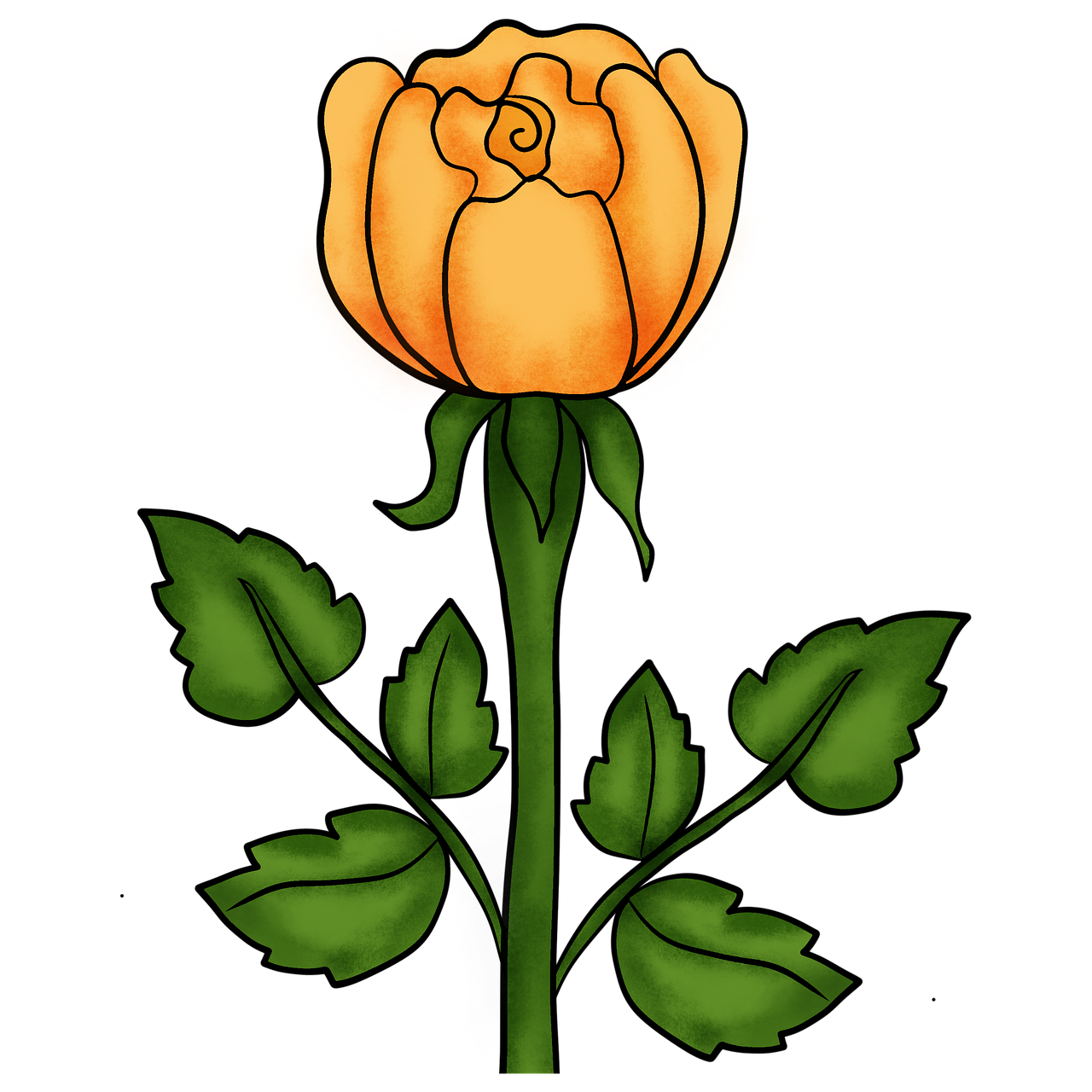 Rose Vintreet Tegning