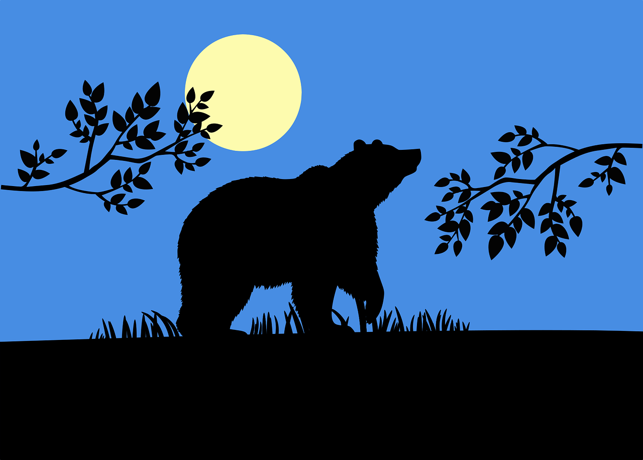 Bear Profile Silhouette