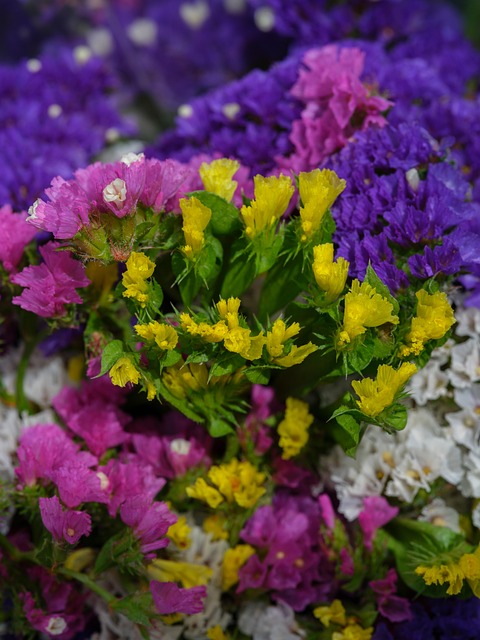 Colori Mazzo Fiore - Foto gratis su Pixabay