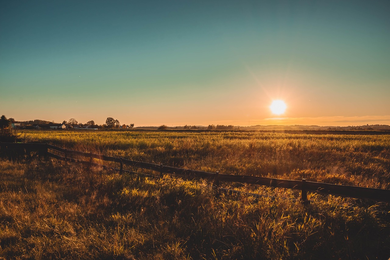 Field Twilight Nature - Free photo on Pixabay