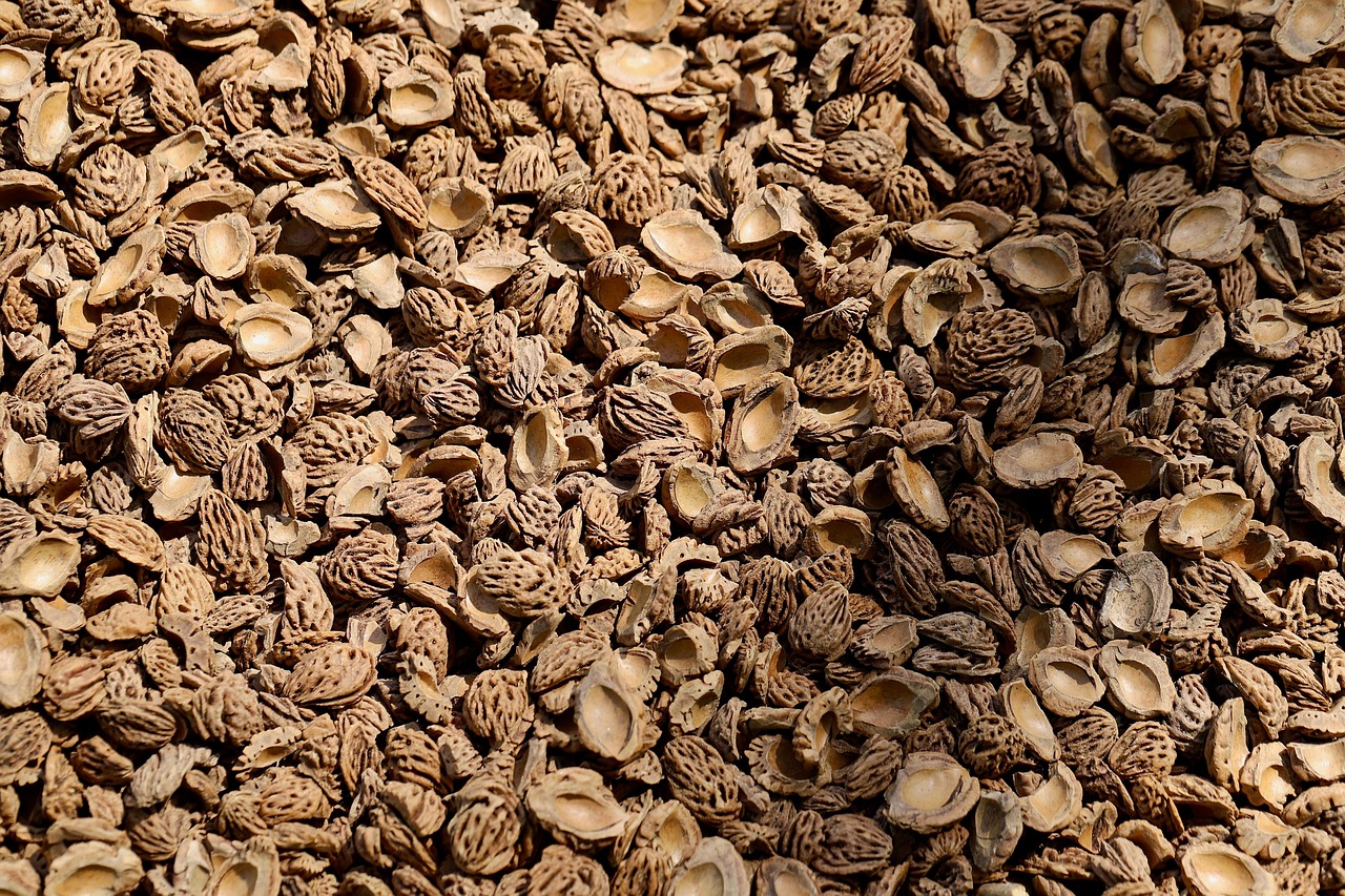 Almond Shells Waste - Free photo on Pixabay