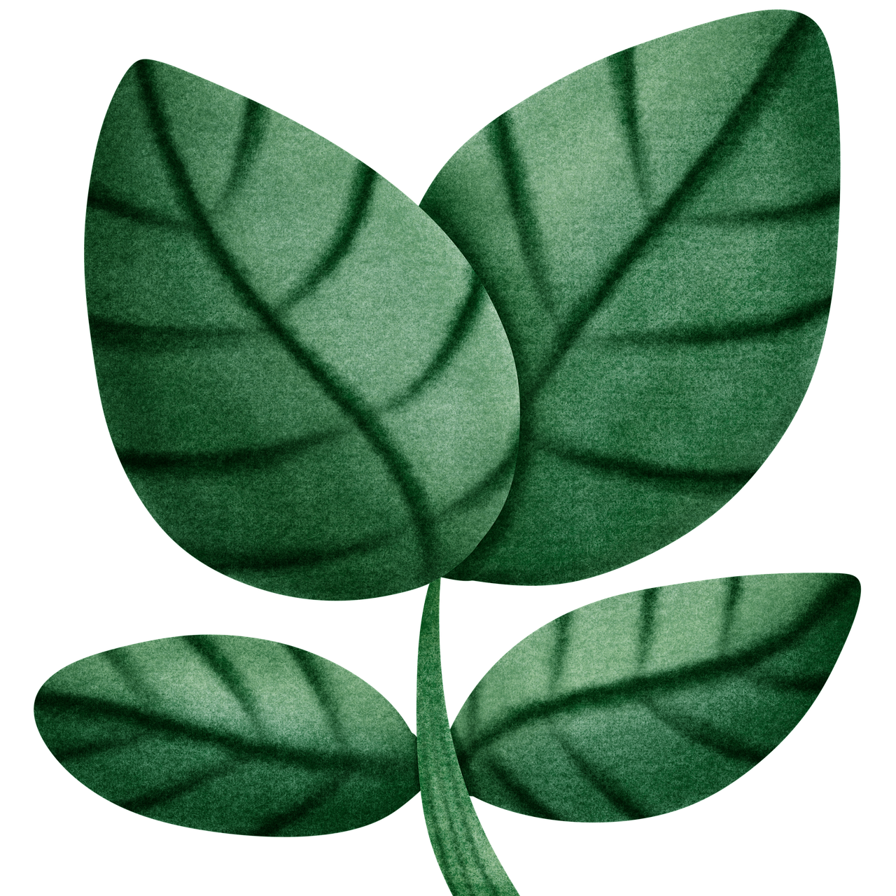 Download Leaves, Nature, Plant. Royalty-Free Stock Illustration Image ...