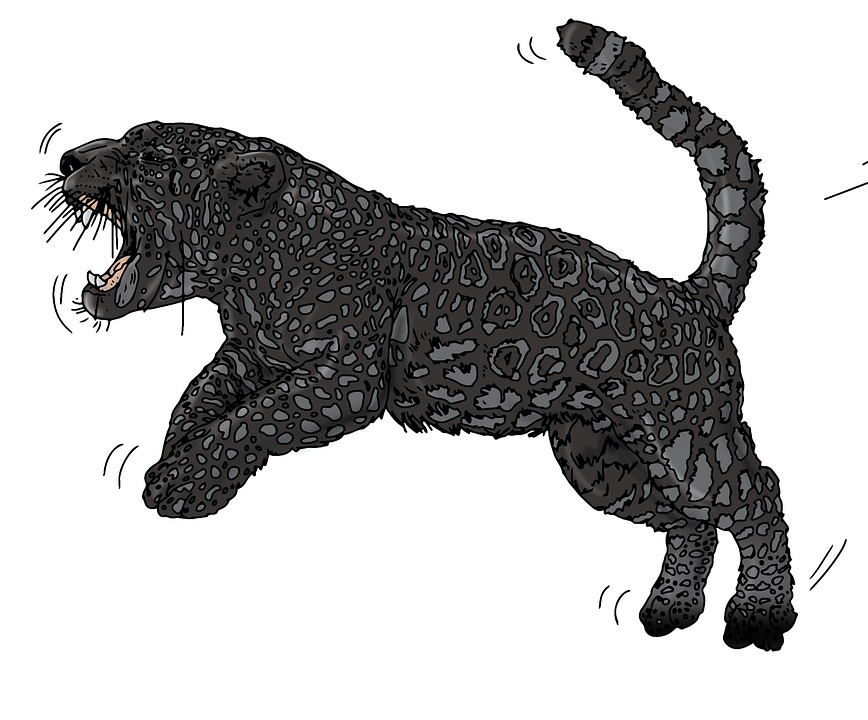 Download Panther, Animal, Big Cat. Royalty-Free Stock Illustration ...