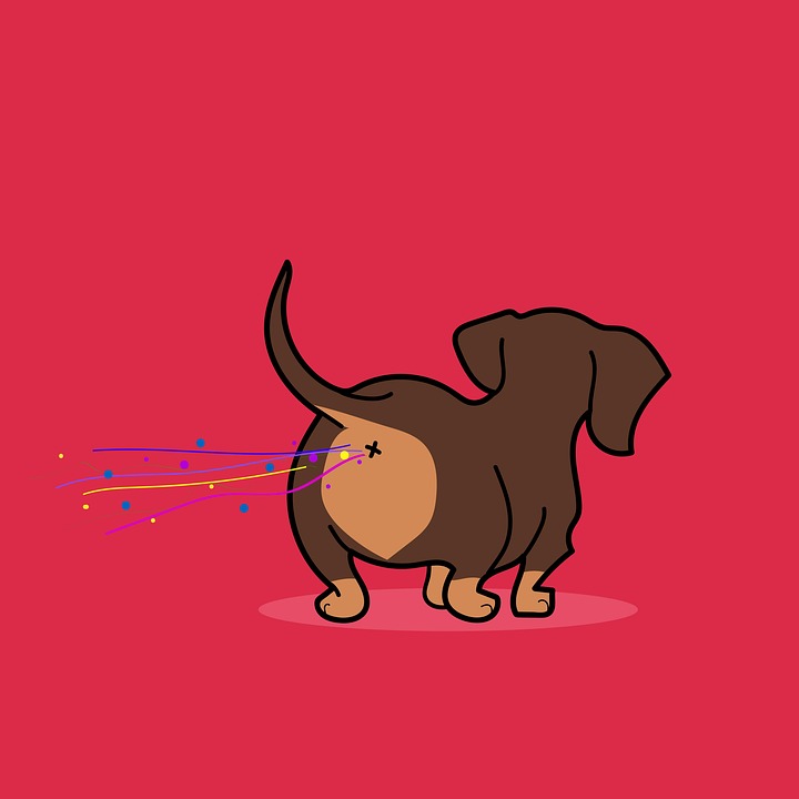 Download Dog, Happy Birthday, Fart. Royalty-Free Stock Illustration ...