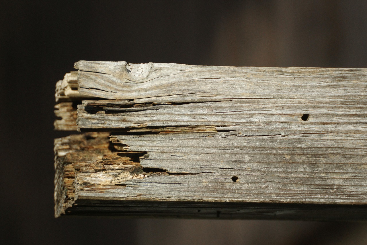 Wood Bar Wooden Wall Roof - Free photo on Pixabay