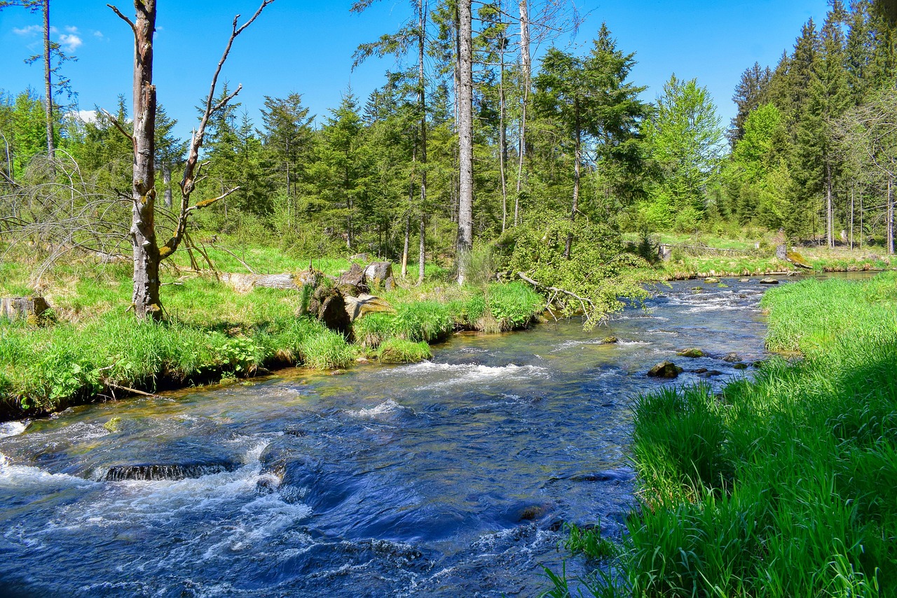 River Hike Flow Heavy Rain - Free photo on Pixabay