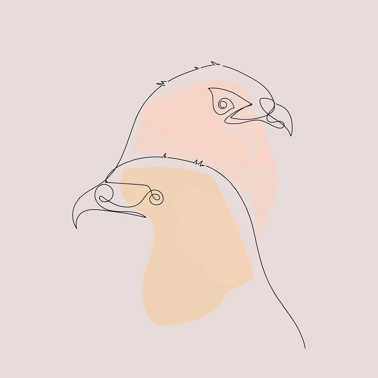 Download Birds, Line Art, Birds Of Prey. Royalty-Free Stock ...