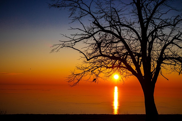 Lake Balaton Nature Hungary - Free photo on Pixabay