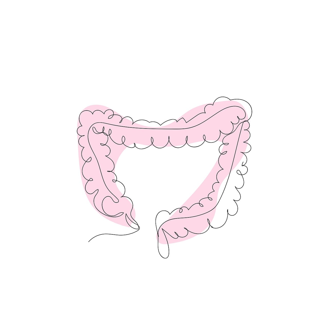 Ingewanden Anatomie Organen - Gratis afbeelding op Pixabay