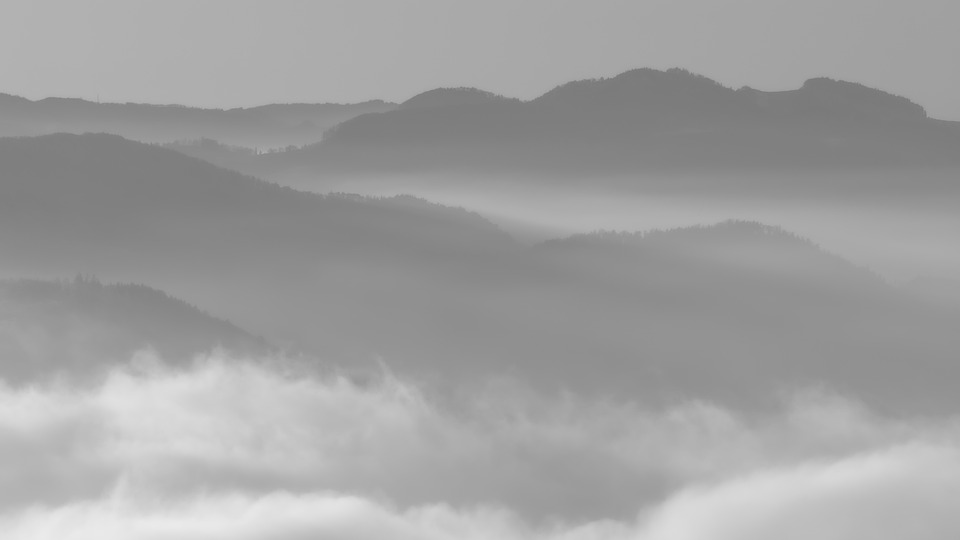 Mist Evening Atmosphere Fog - Free photo on Pixabay