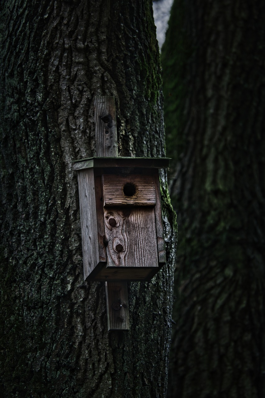 Bird House Nature Garden - Free photo on Pixabay