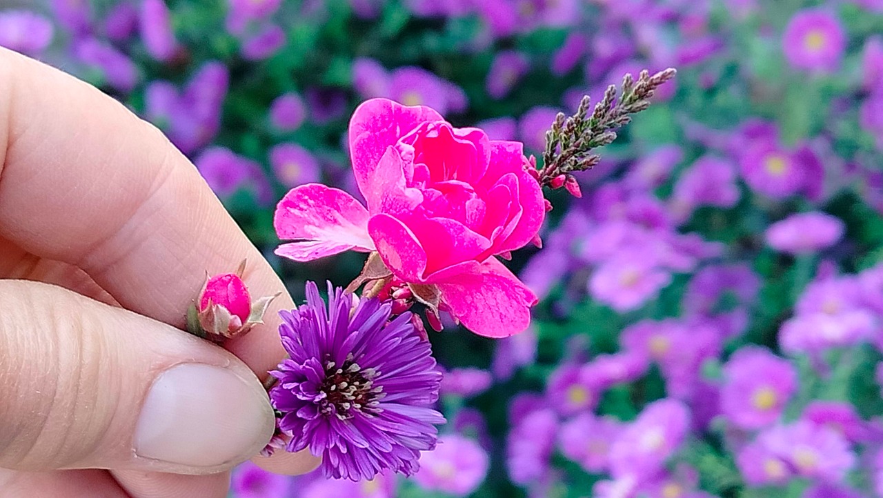 Merci Fleurs Pour Toi - Photo gratuite sur Pixabay