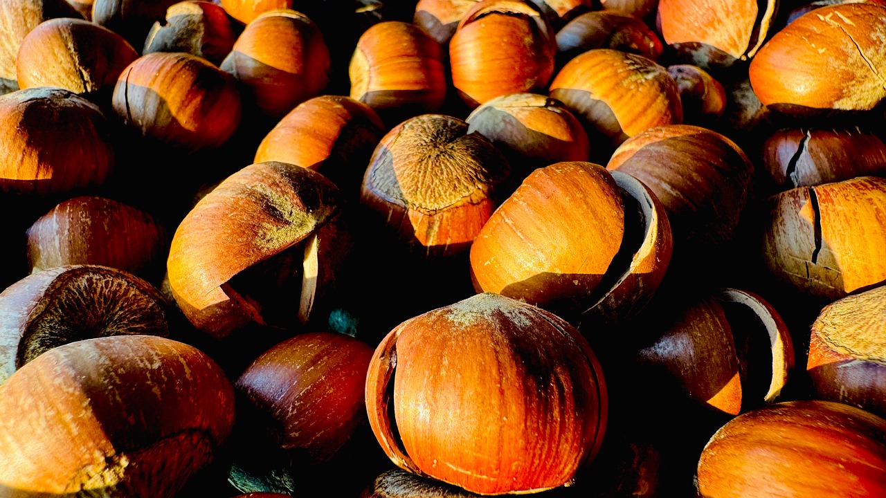 Hazelnut Nut Food - Free photo on Pixabay