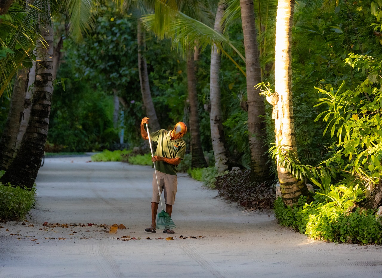 Leaves Cleaner Gardener - Free photo on Pixabay