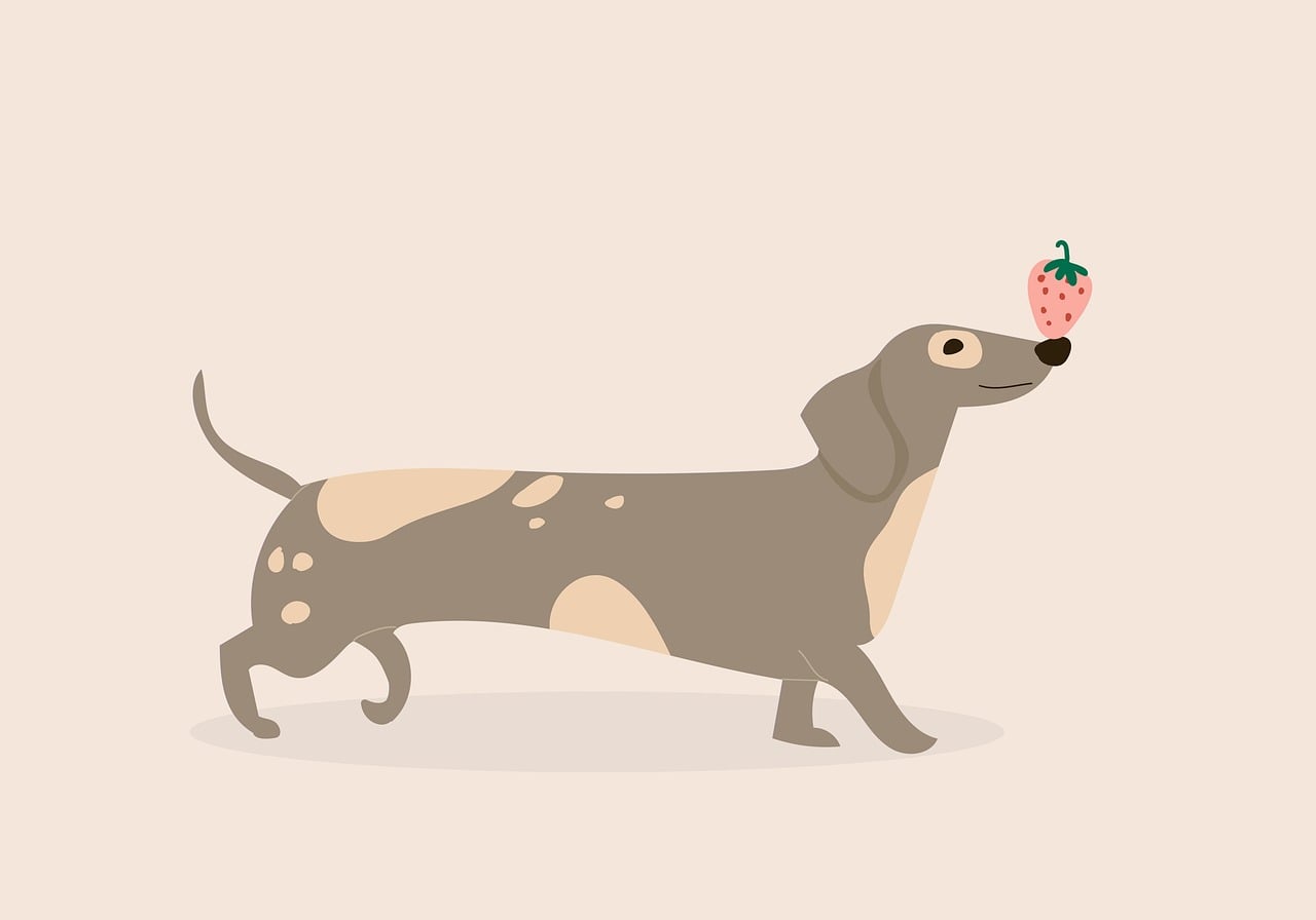 Download Dog, Strawberry, Pet. Royalty-Free Stock Illustration Image ...