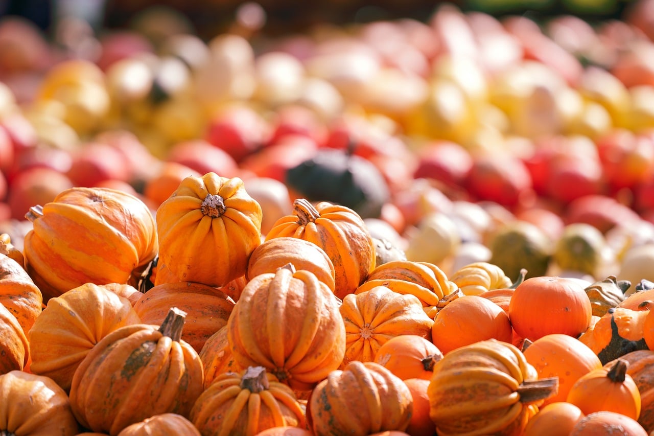 Pumpkin Vegetables Fall - Free photo on Pixabay