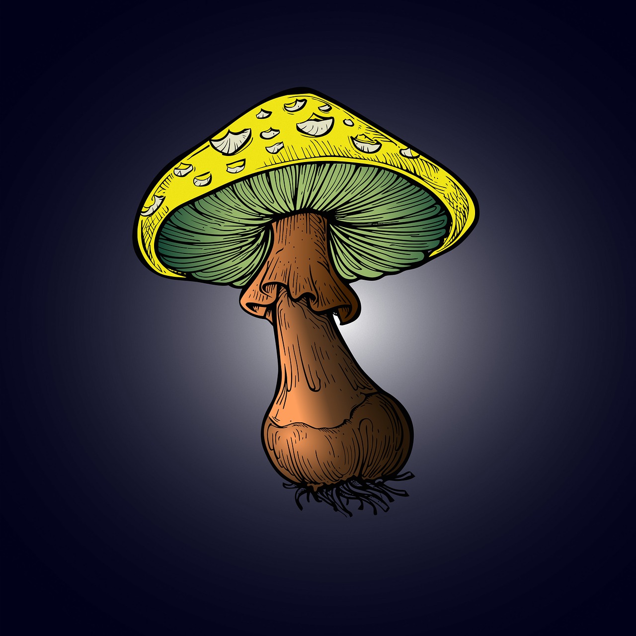Download Toadstool, Mushroom, Fall. Royalty-Free Vector Graphic - Pixabay