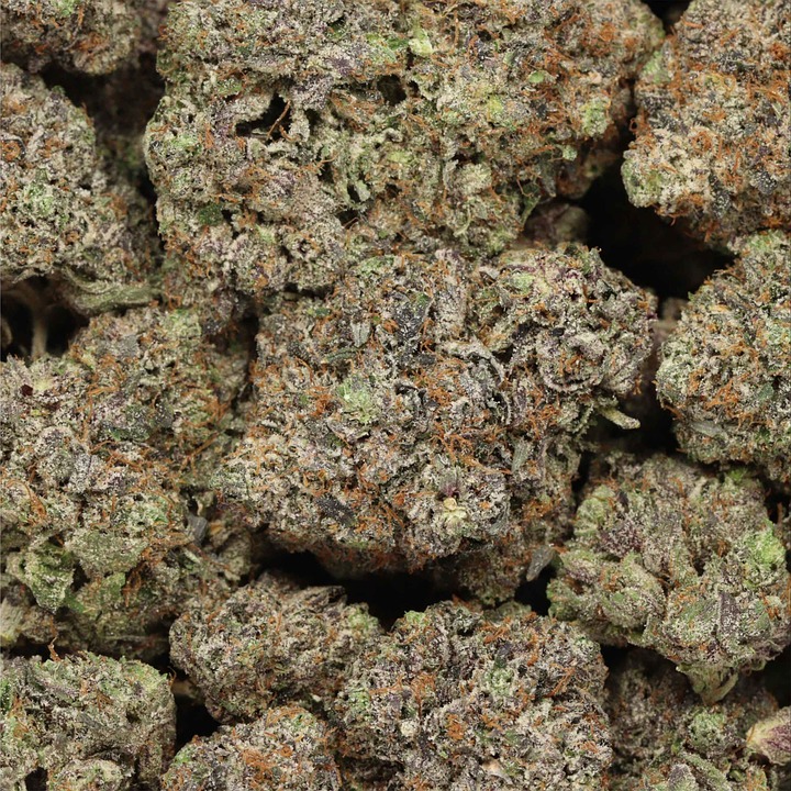 Pink Chapo Strain Bulk Buddy - Free photo on Pixabay
