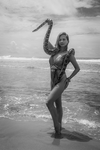 女人 泳装 Python - Pixabay上的免费照片