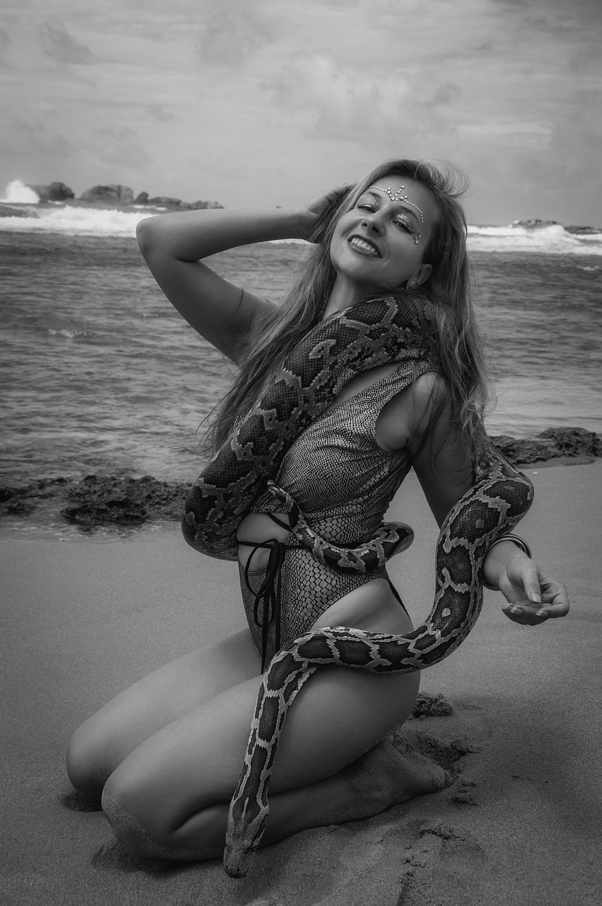 女人 泳装 Python - Pixabay上的免费照片