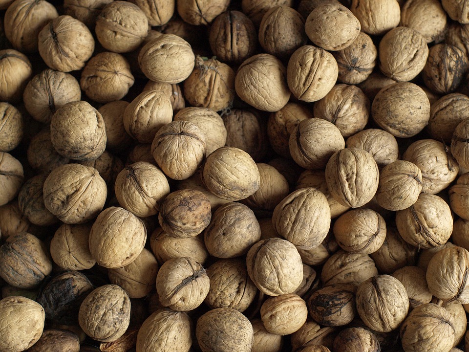 Walnuts Greek Nuts - Free photo on Pixabay