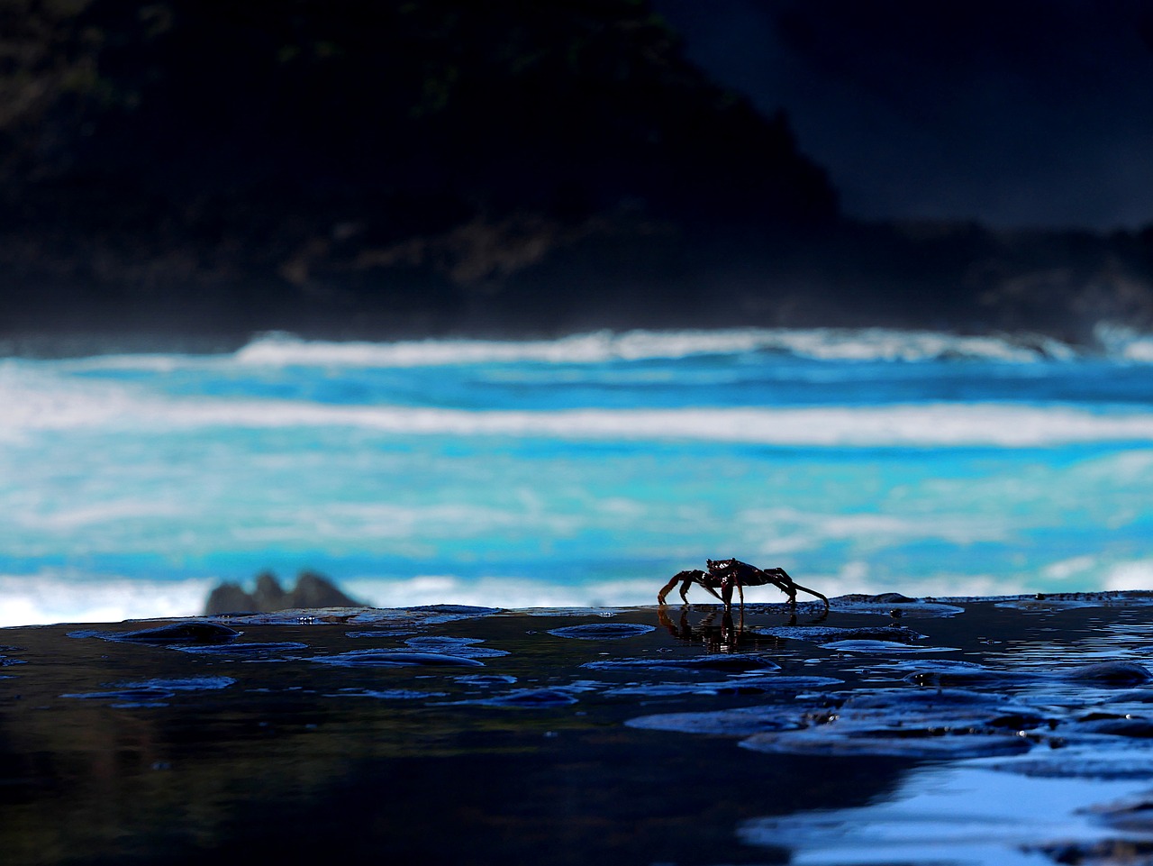 Nature Ocean Sea - Free photo on Pixabay