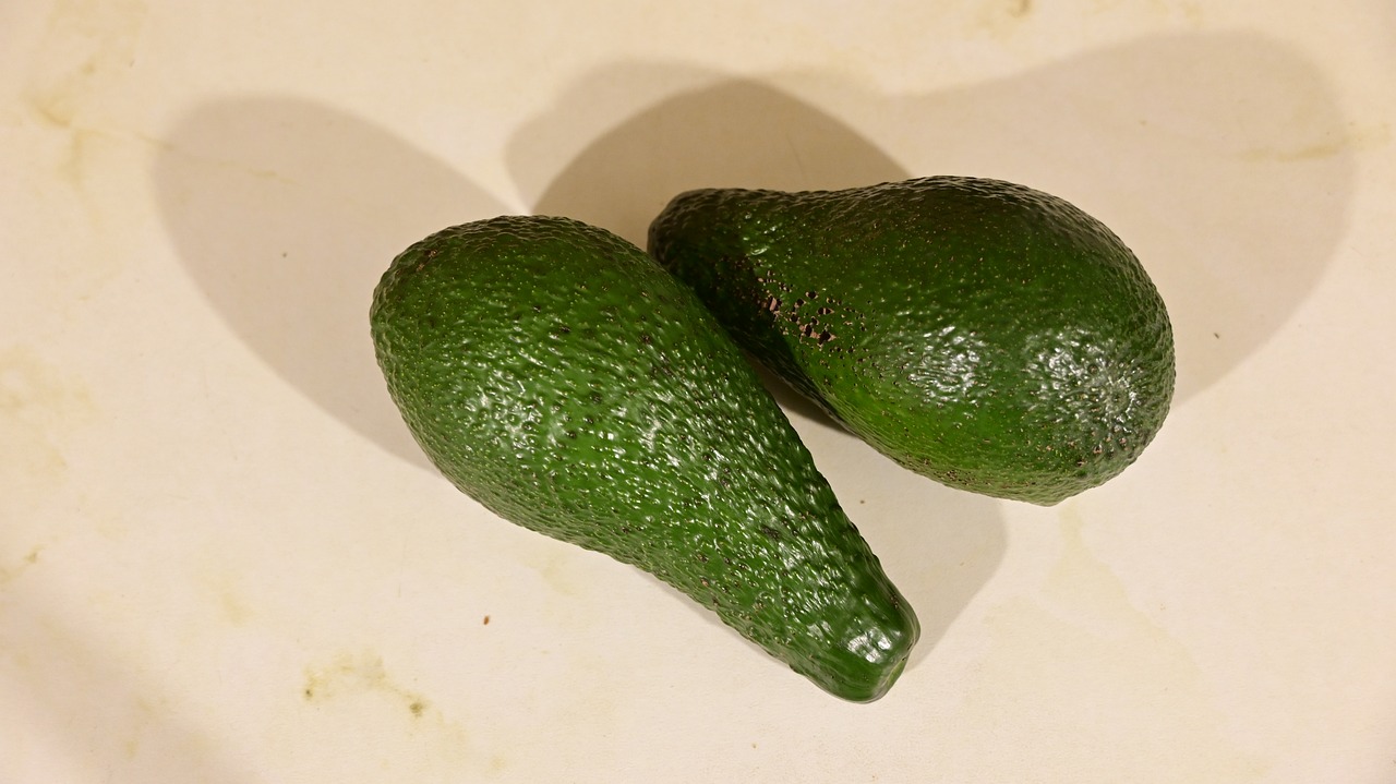 Avocado Fruit Vegetarian A - Free photo on Pixabay