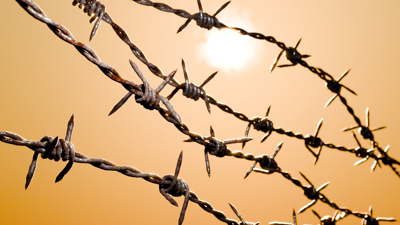 Download Hedge, Metal, Barrier. Royalty-Free Stock Illustration Image ...