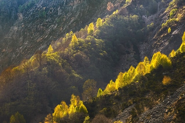 30,000+ Free Mountain Shadow & Nature Images - Pixabay