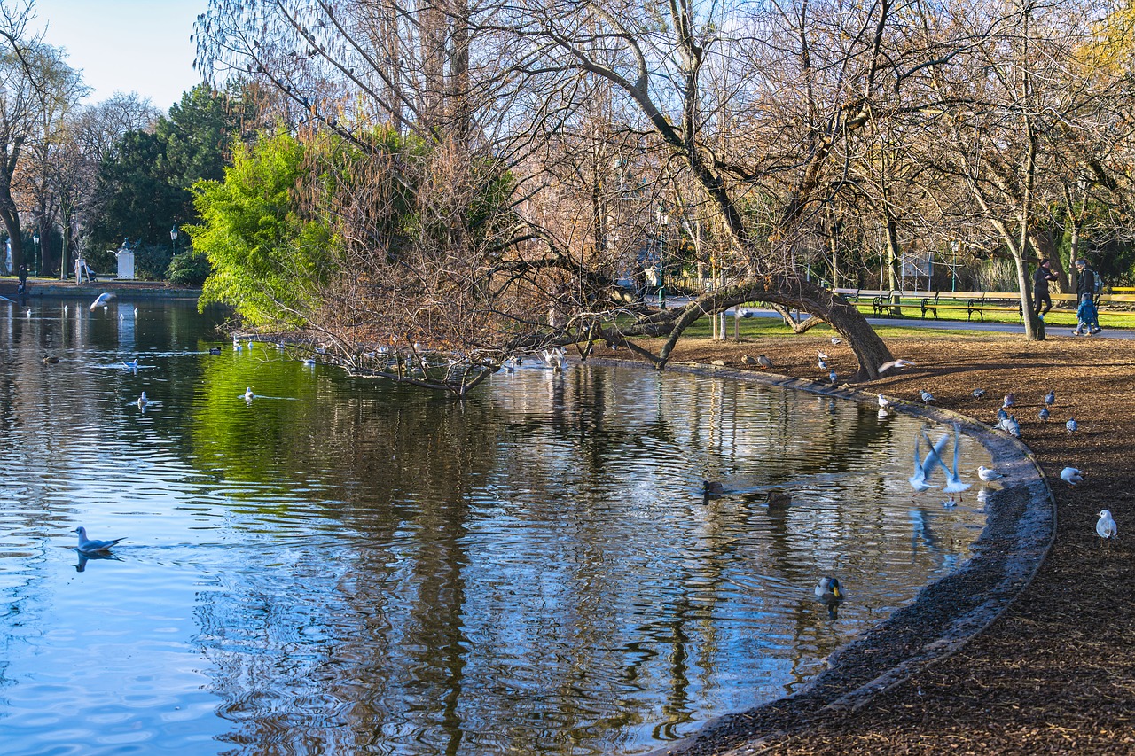 Park Nature Path - Free photo on Pixabay