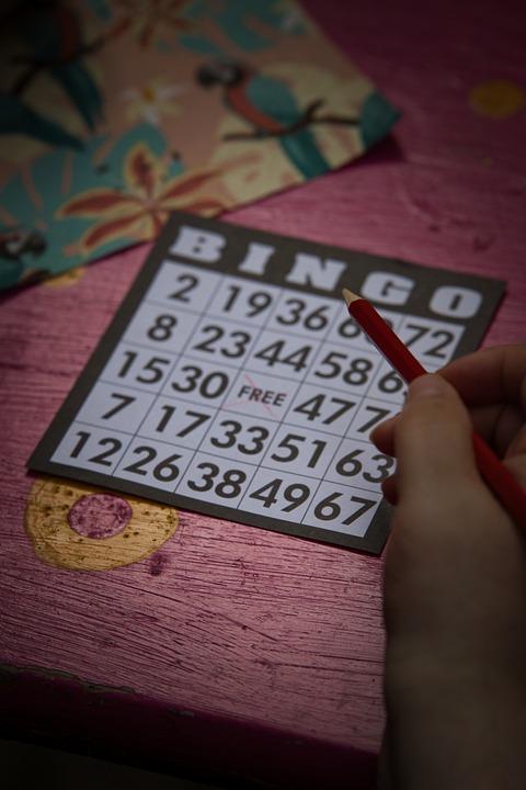 Bingo Lotto Éxito - Foto gratis en Pixabay