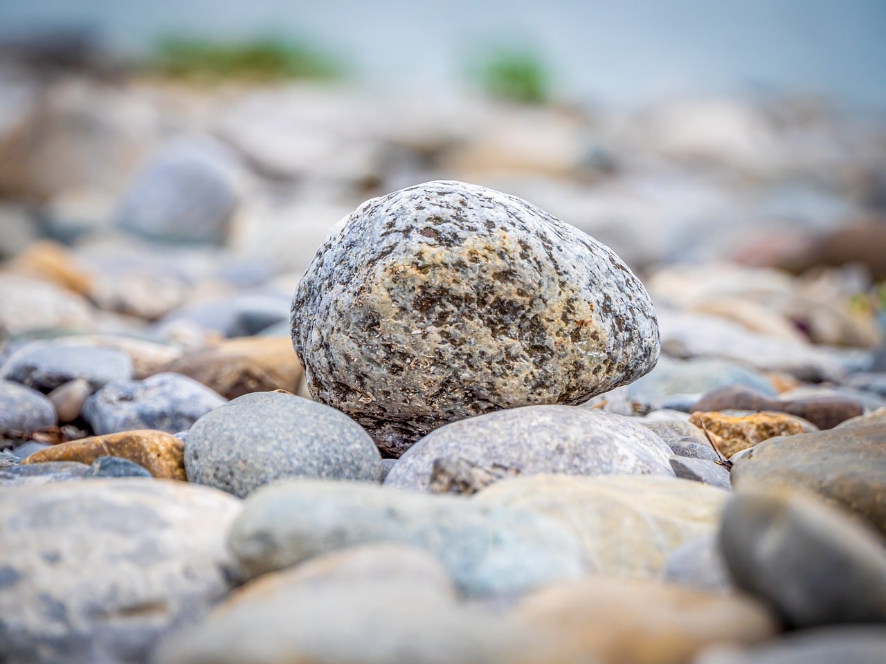 Plus de 50 images de Caillou et de Nature - Pixabay